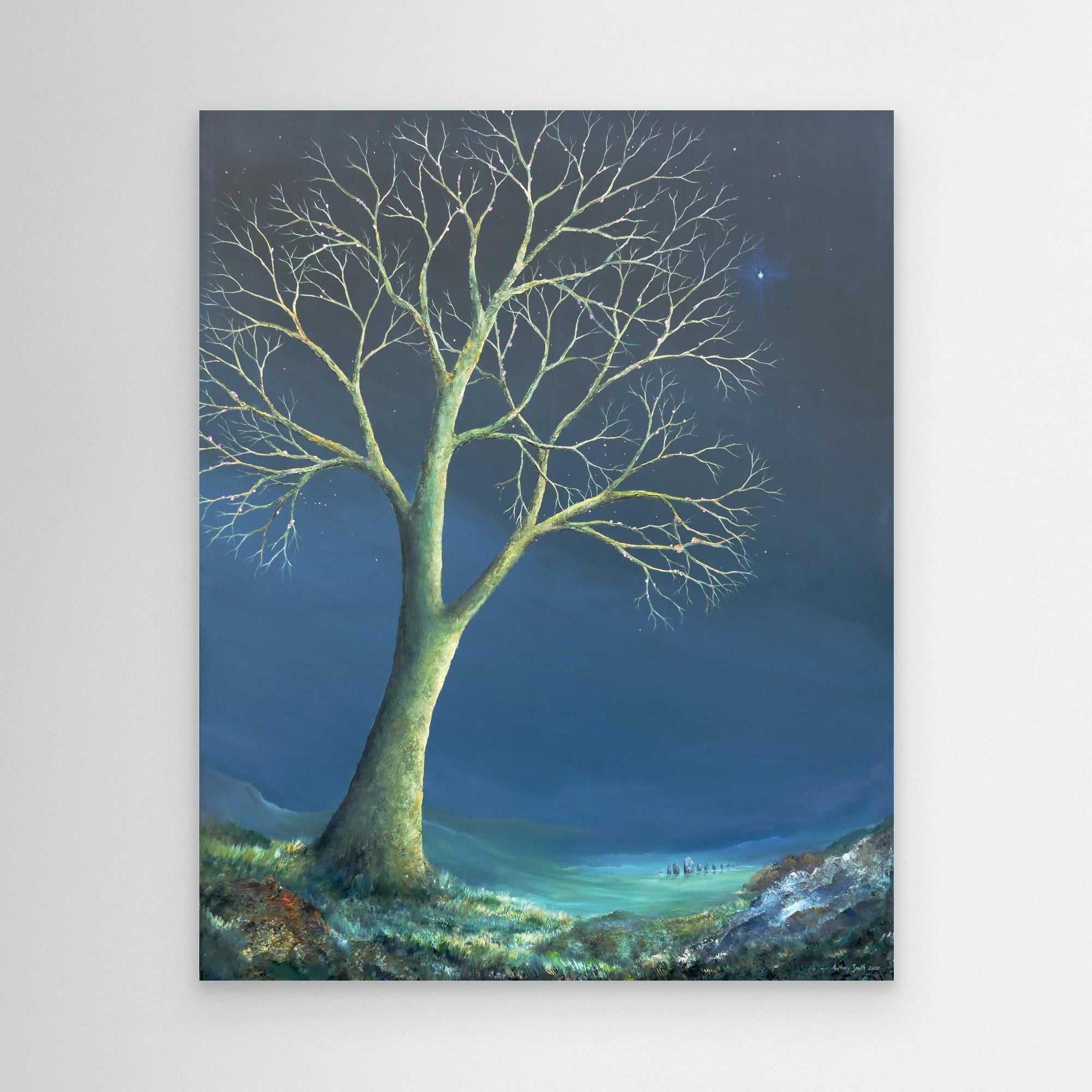 Morning Star light. Code: 1313 – Gallery Anthony